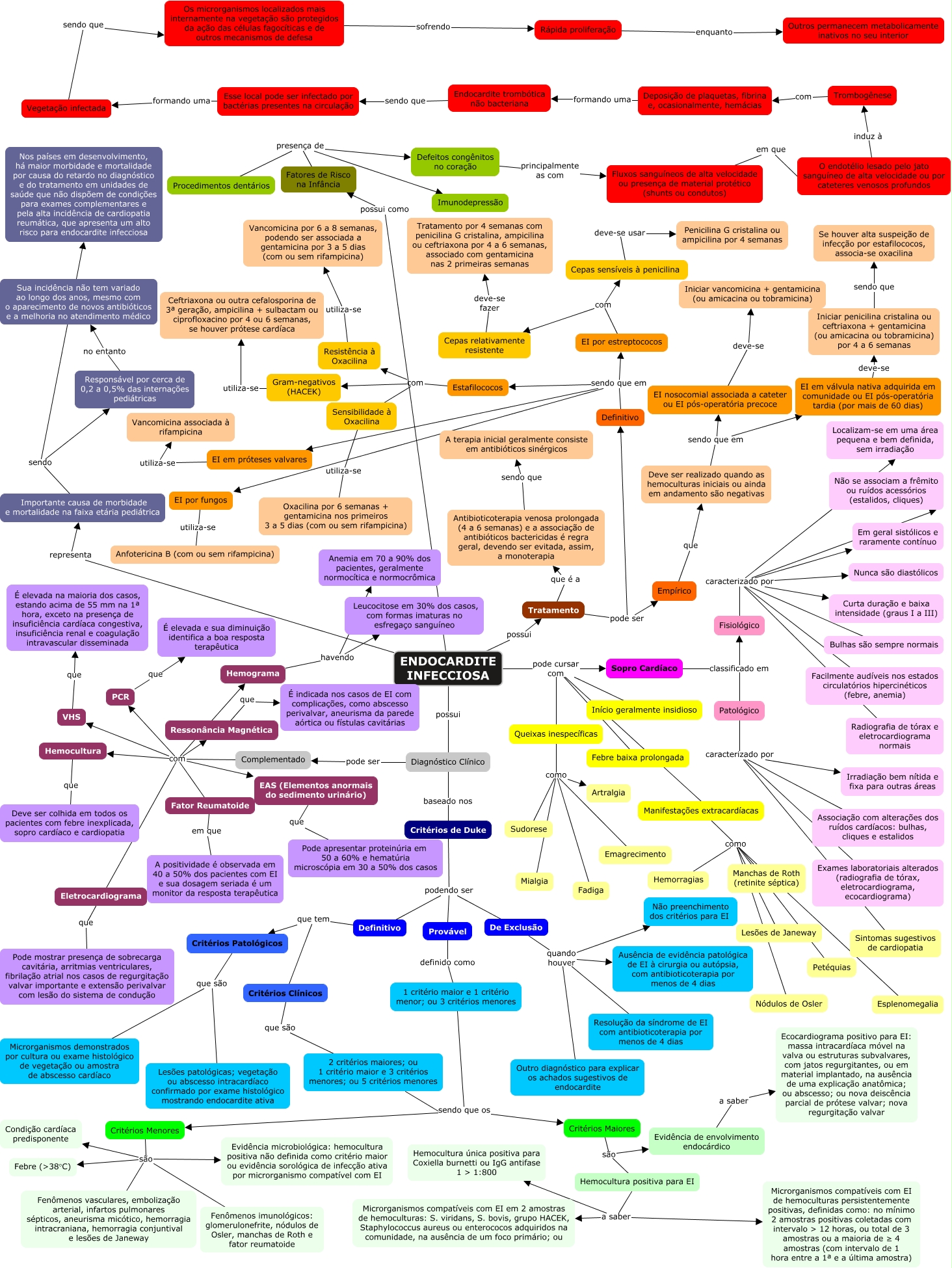 Endocardite Infecciosa (1ª parte) - 3º caso